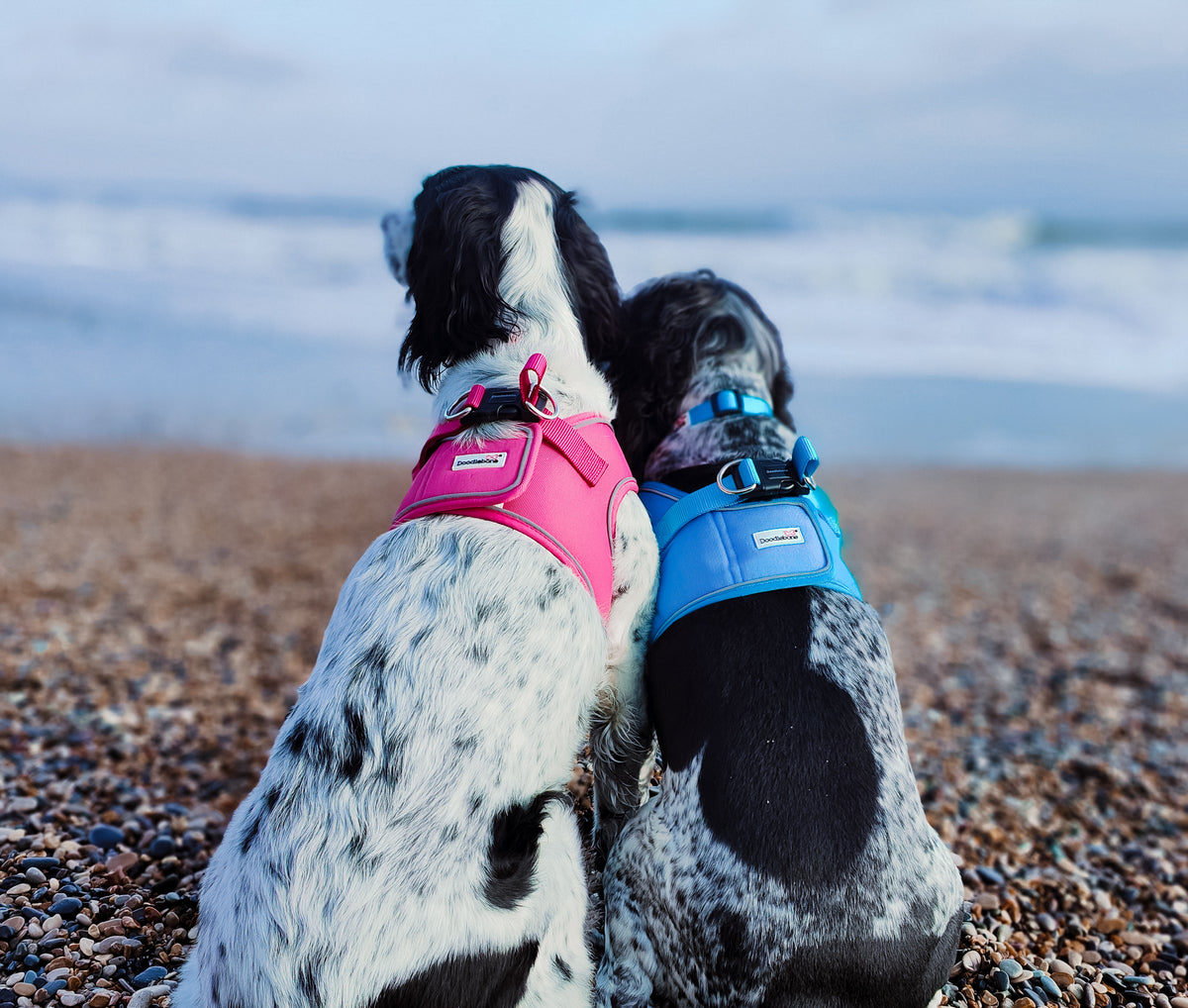 Contact us – Doodlebone