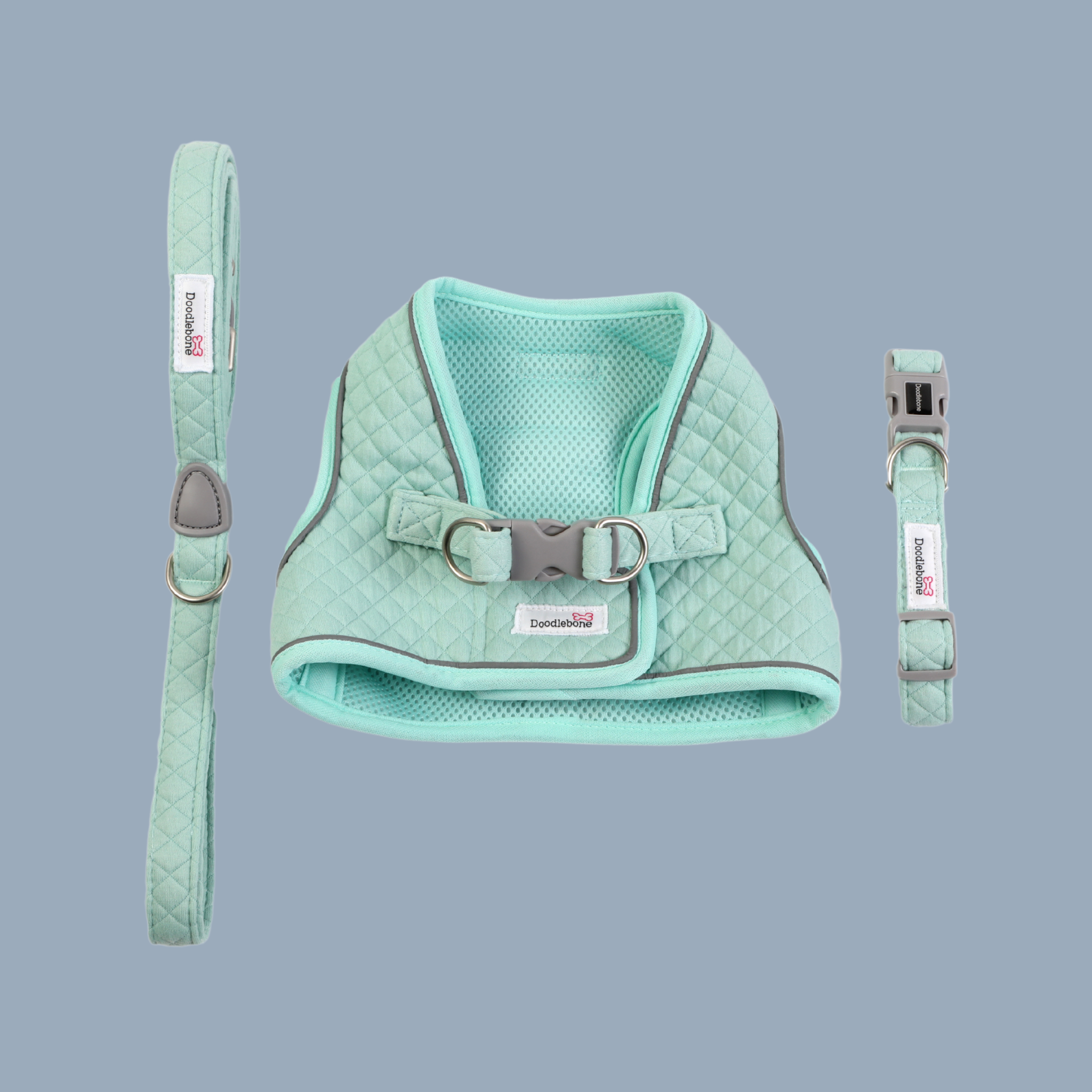 Mint Quilt Dinky Dog Snappy Harness, Collar & Lead Set – Doodlebone