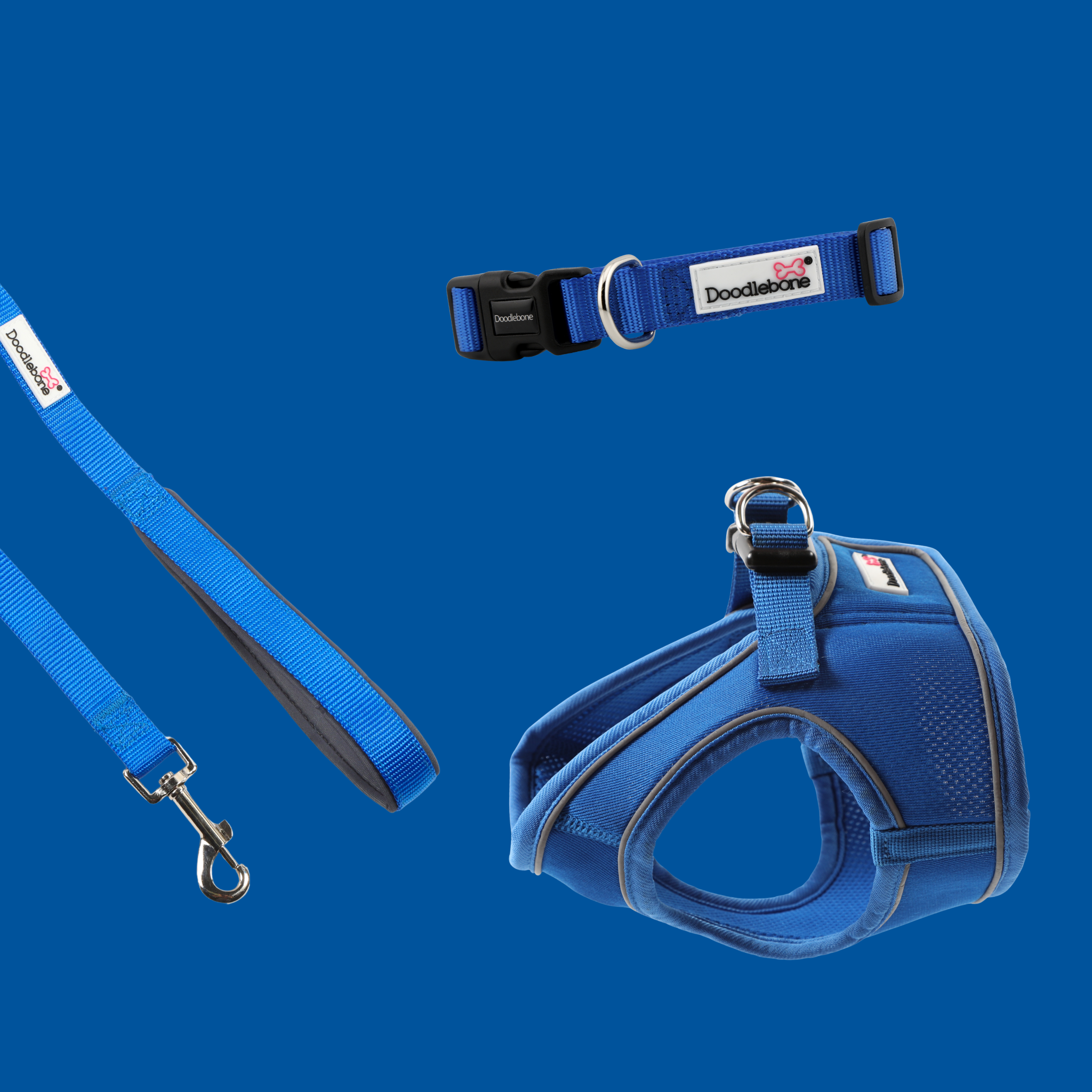 Sapphire Snappy Harness, Collar & Lead Set – Doodlebone