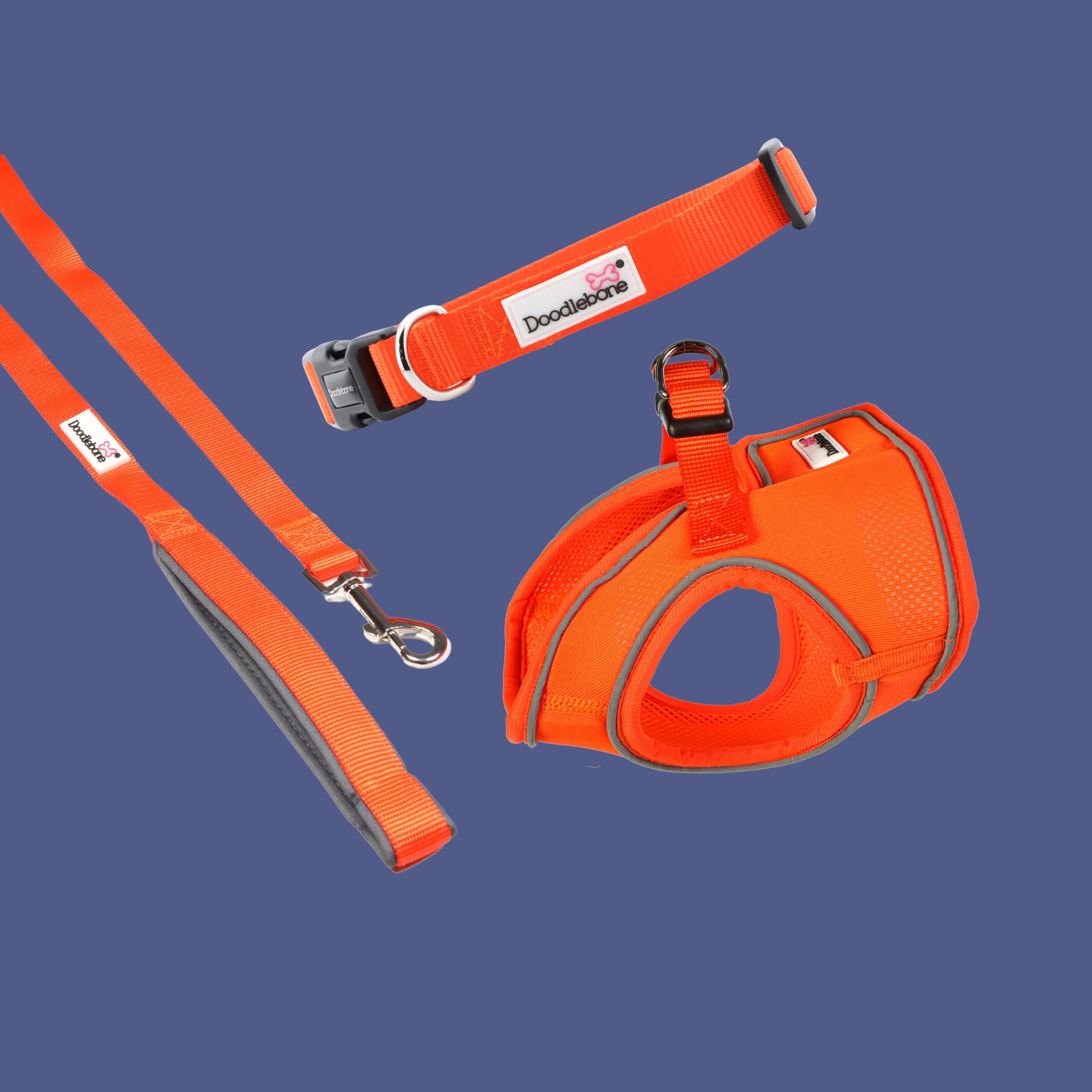 Tangerine Snappy Harness, Collar & Lead Set – Doodlebone